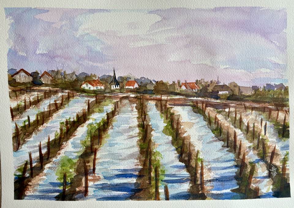 Watercolor Paintings – Heather Adler